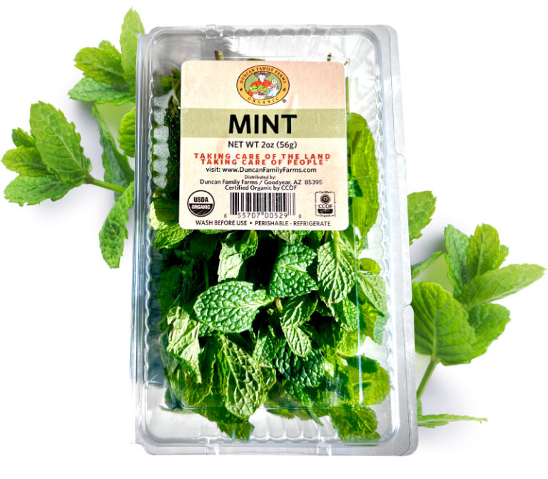 Mint - Duncan Family Farms
