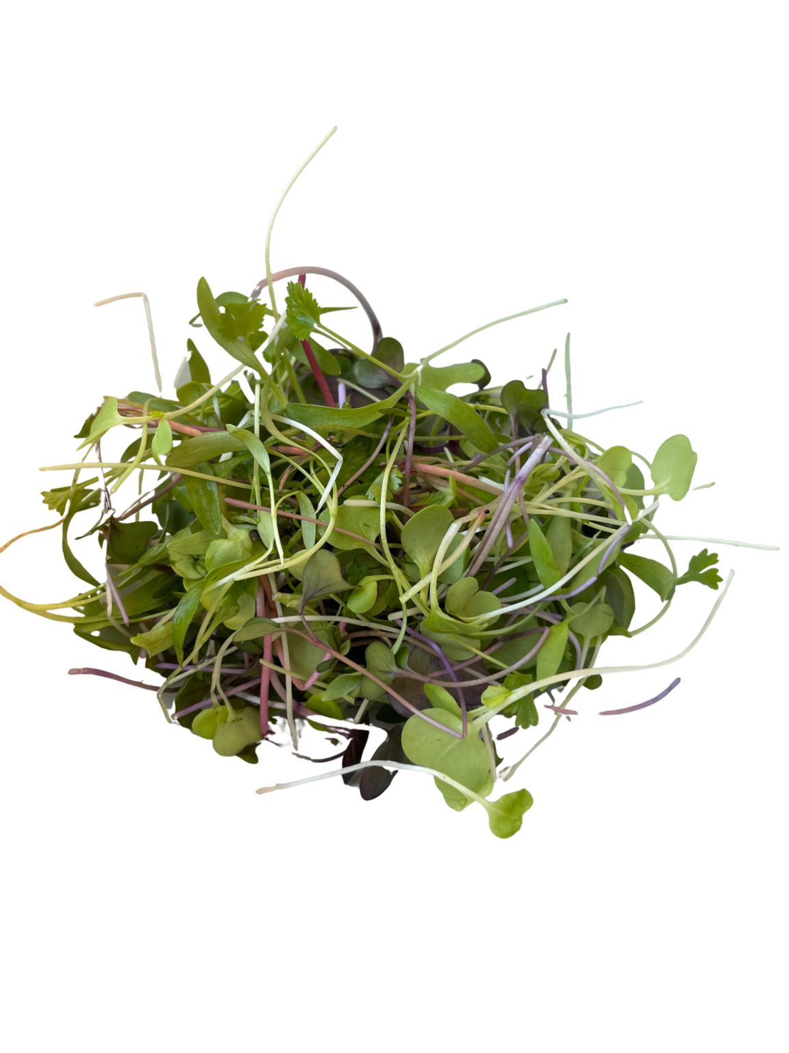 Microgreens - Duncan Family Farms