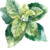 About Us - Duncan Family Farms
